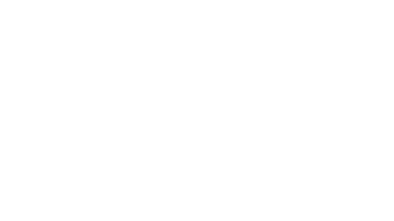 TDO Payments - TDO Software